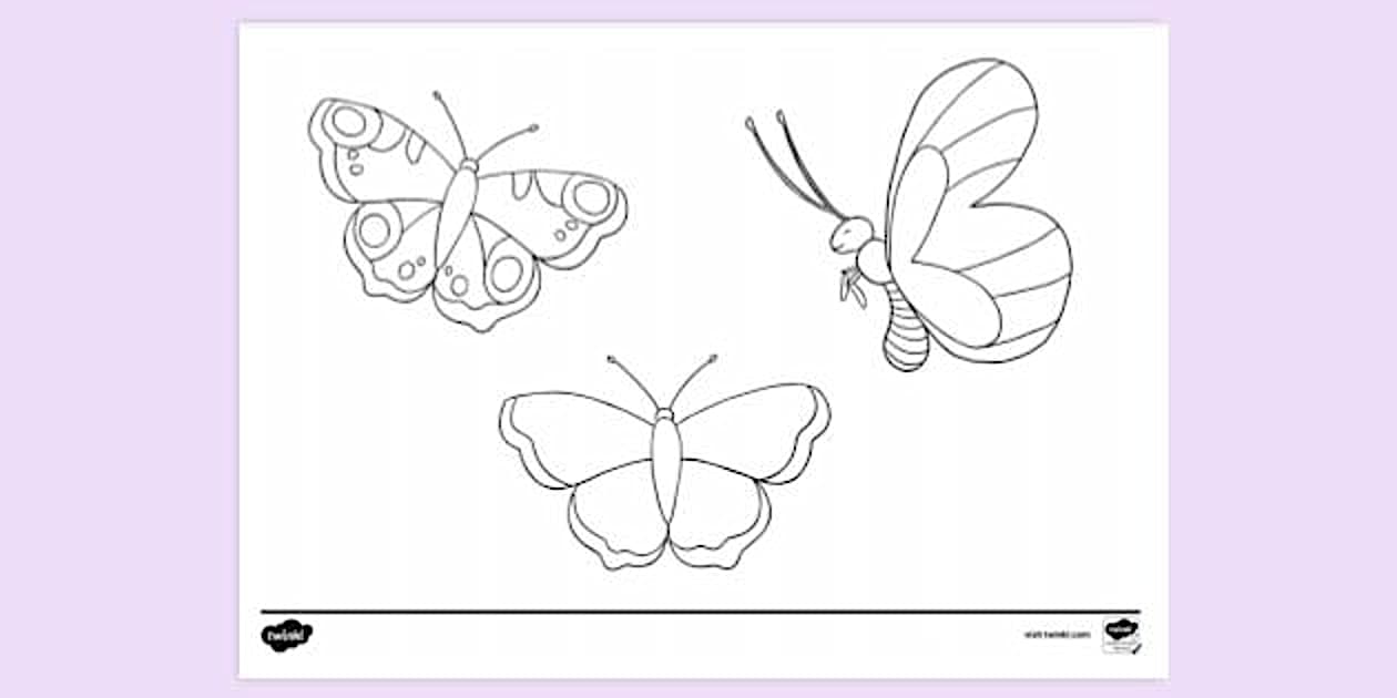 Butterfly Colouring Page for Kids | Colouring Sheet - Twinkl