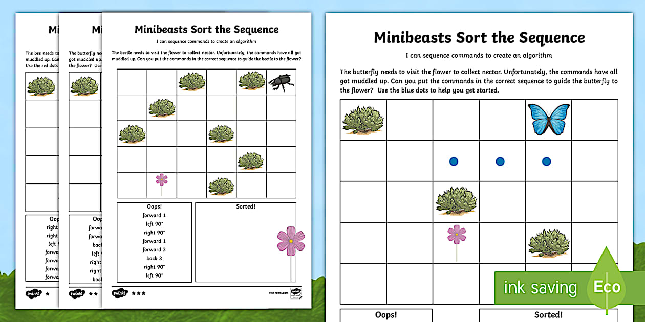 Middle Ability Minibeasts Sort the Sequence Differentiated Worksheet