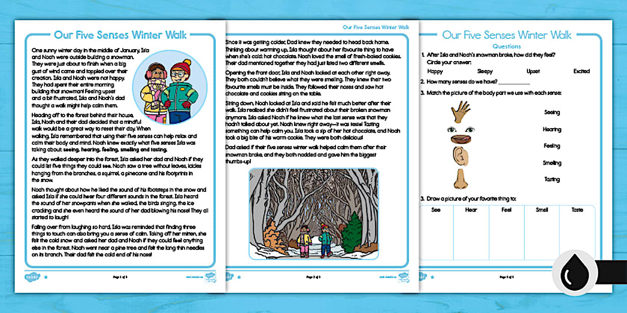 Our Five Senses Winter Walk Reading Comprehension Activity
