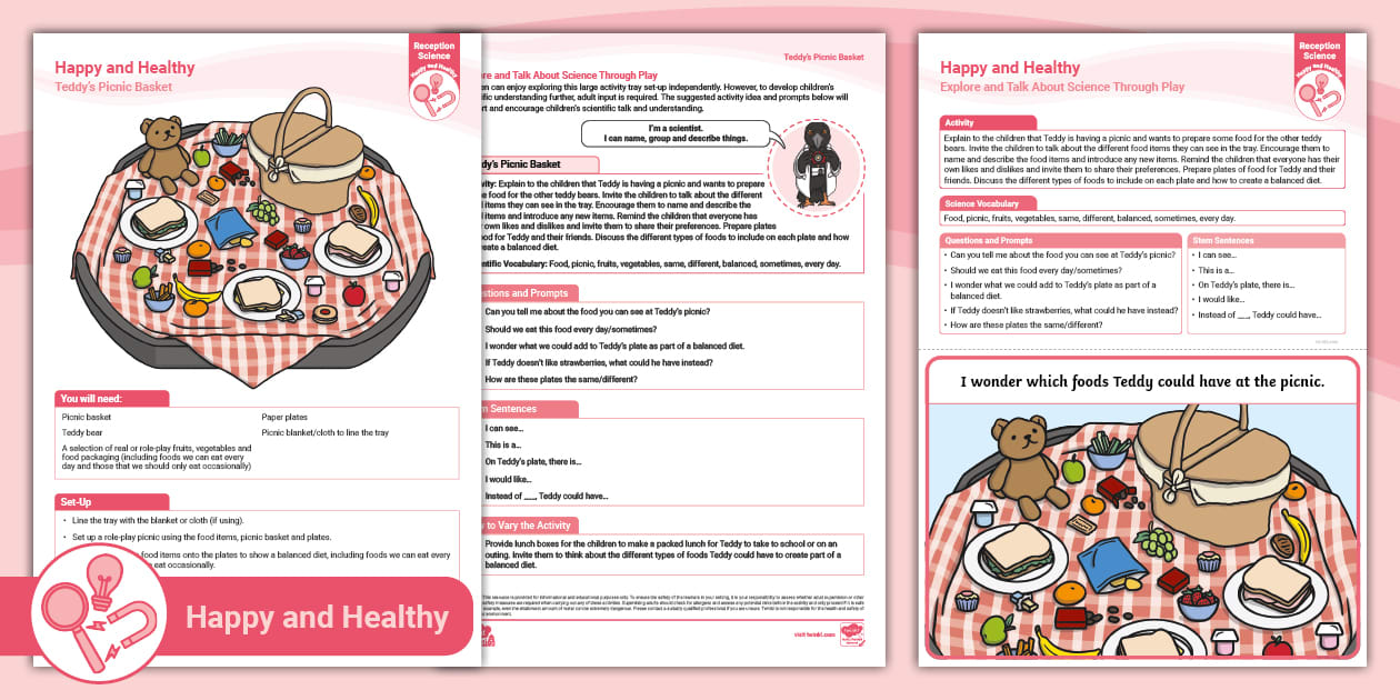 EYFS Science Happy & Healthy Activity Teddy's Picnic Basket