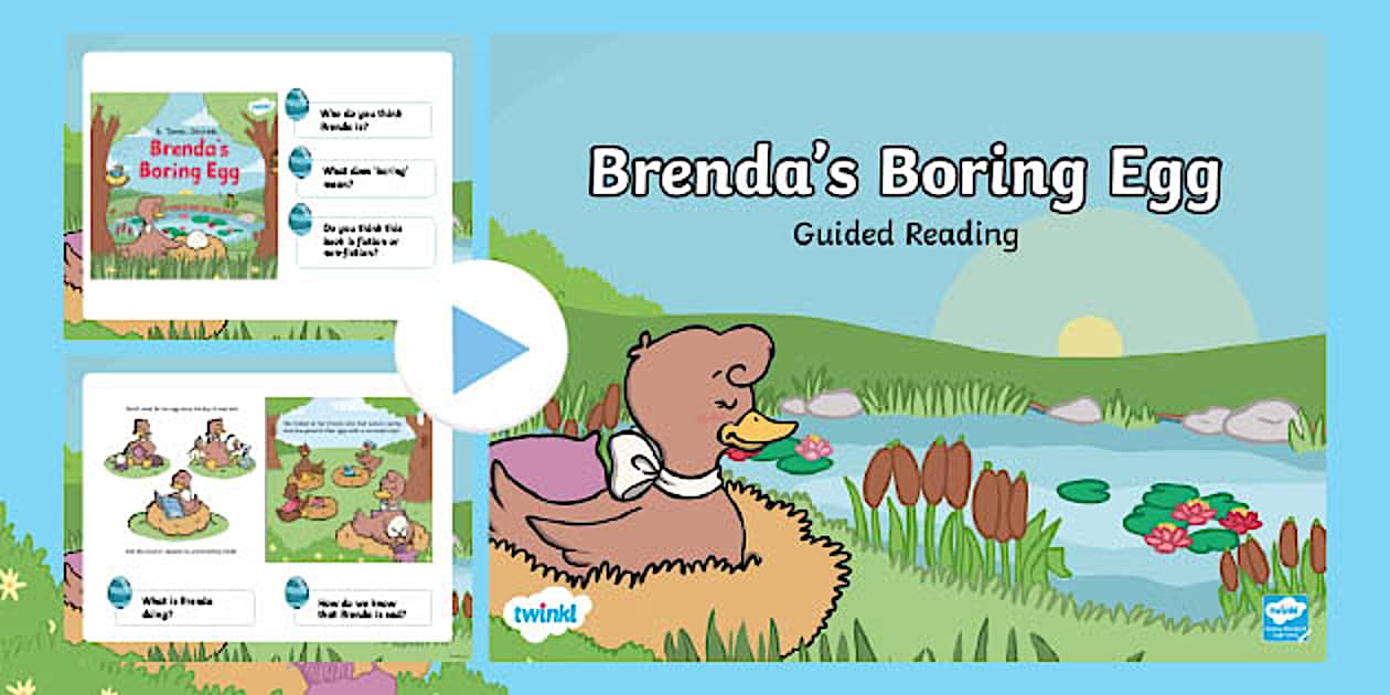 Brenda's Boring Egg: KS1 Guided Reading Questions PowerPoint