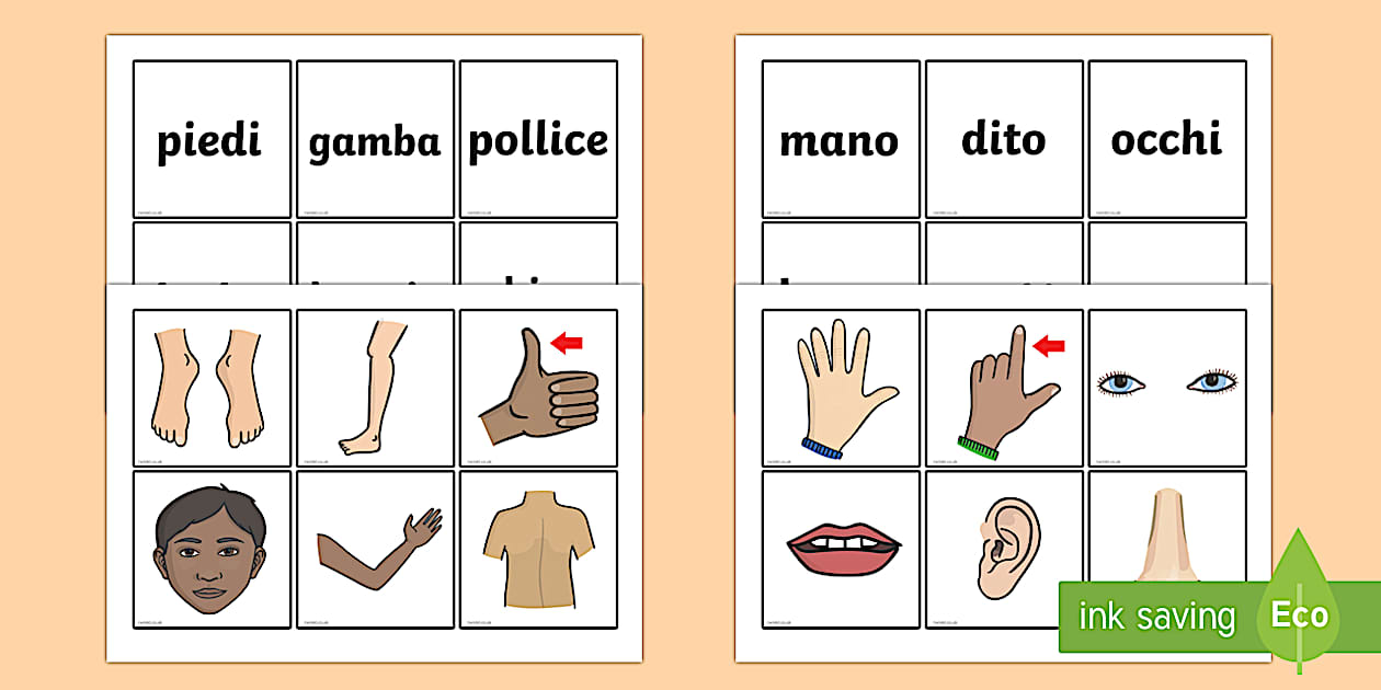 Parti del Corpo Abbina le Carte Attività (teacher made)