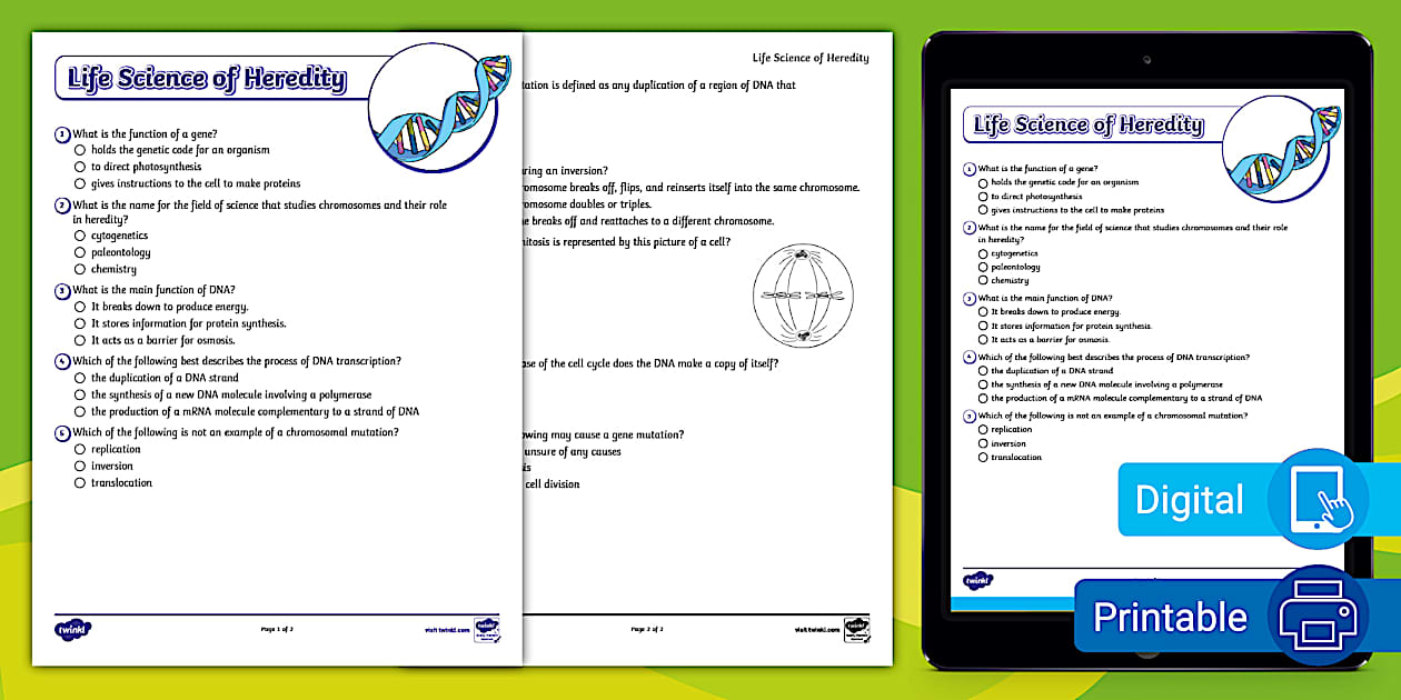 Sixth Grade NGSS Life Science of Heredity Quiz - Twinkl