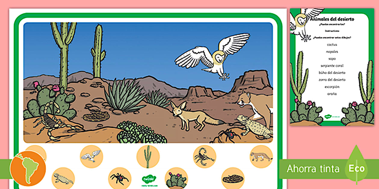 Póster: Animales que viven en el desierto - Twinkl