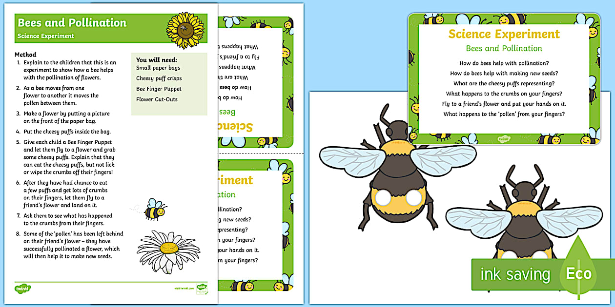 Bee and Pollination Science Experiment - Twinkl