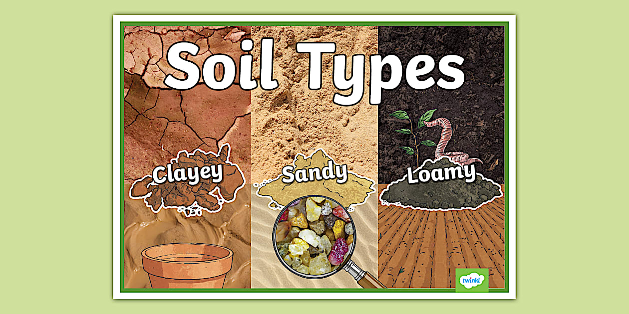 Gr 5 NS: Surface of the Earth: Soil Types: Poster - Twinkl