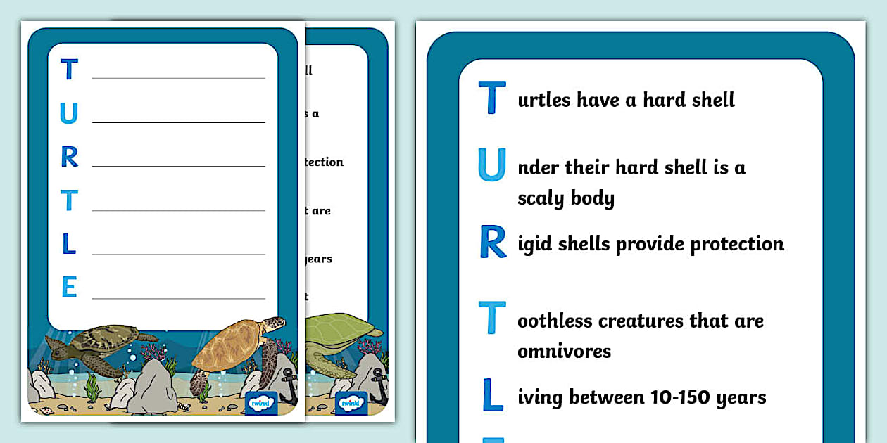 Turtle Acrostic Poem Example (teacher made) - Twinkl