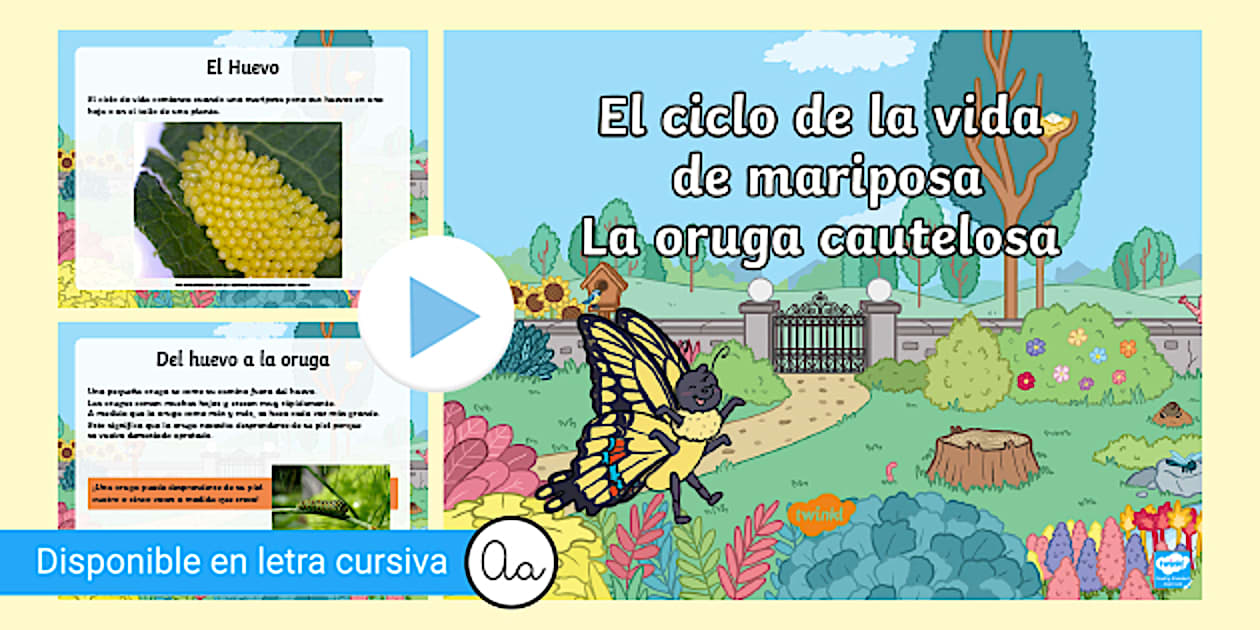 PowerPoint: El ciclo de la vida de una mariposa - Twinkl