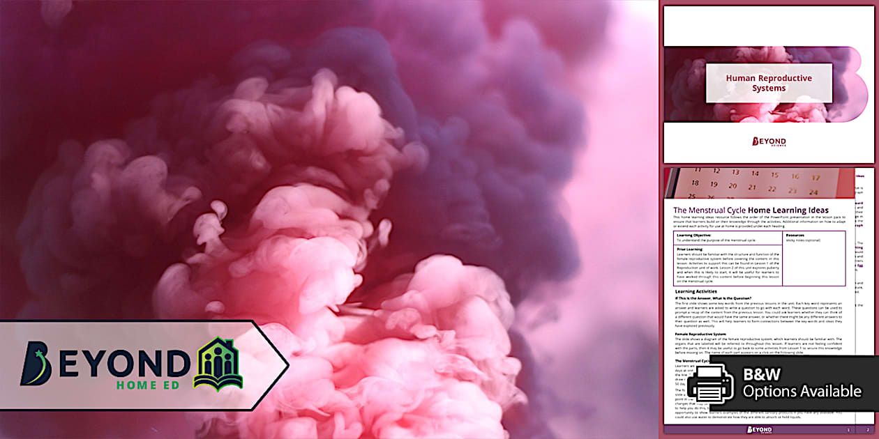 KS3 Reproduction: Human Reproduction (Science Home Learning)