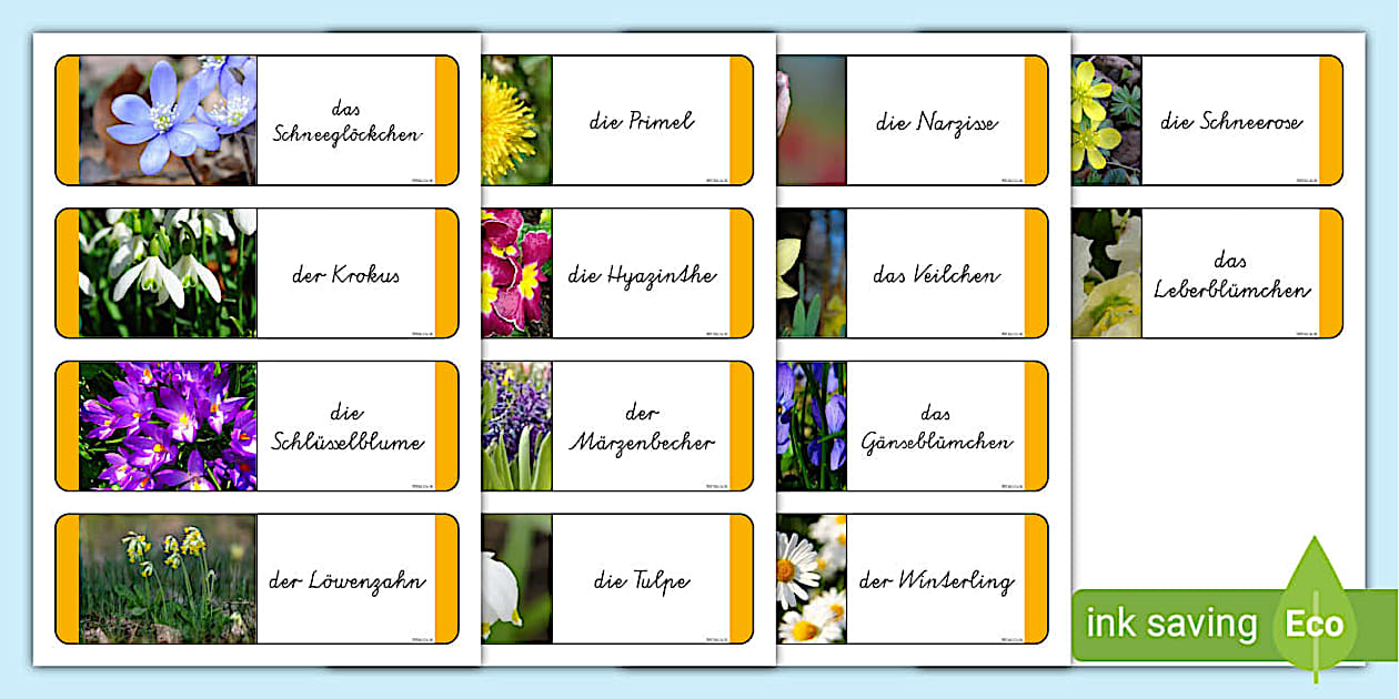 Frühlingsblumen Domino Spiel