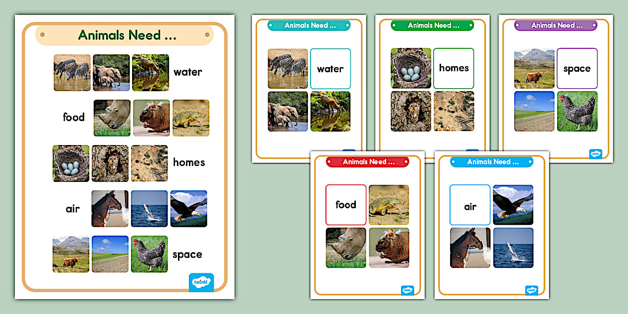 What Animals Need To Survive Posters for K-2nd Grade