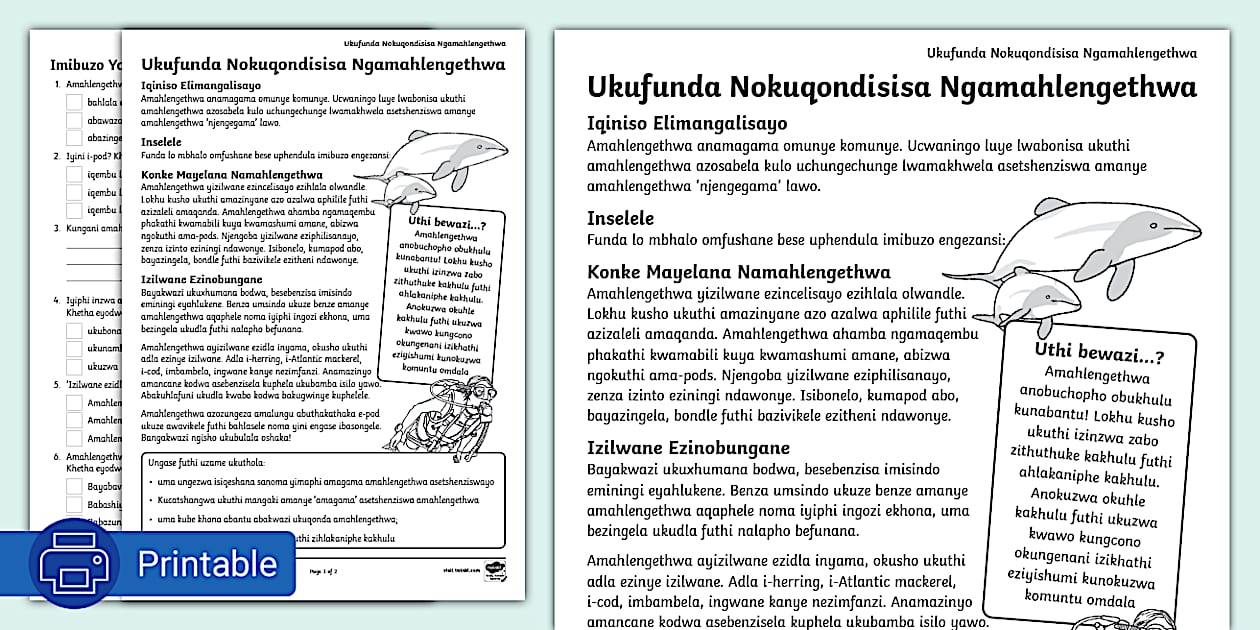 Iphepha lokusebenzela Wokufunda Nokuqondisisa Ngamahlengethwa