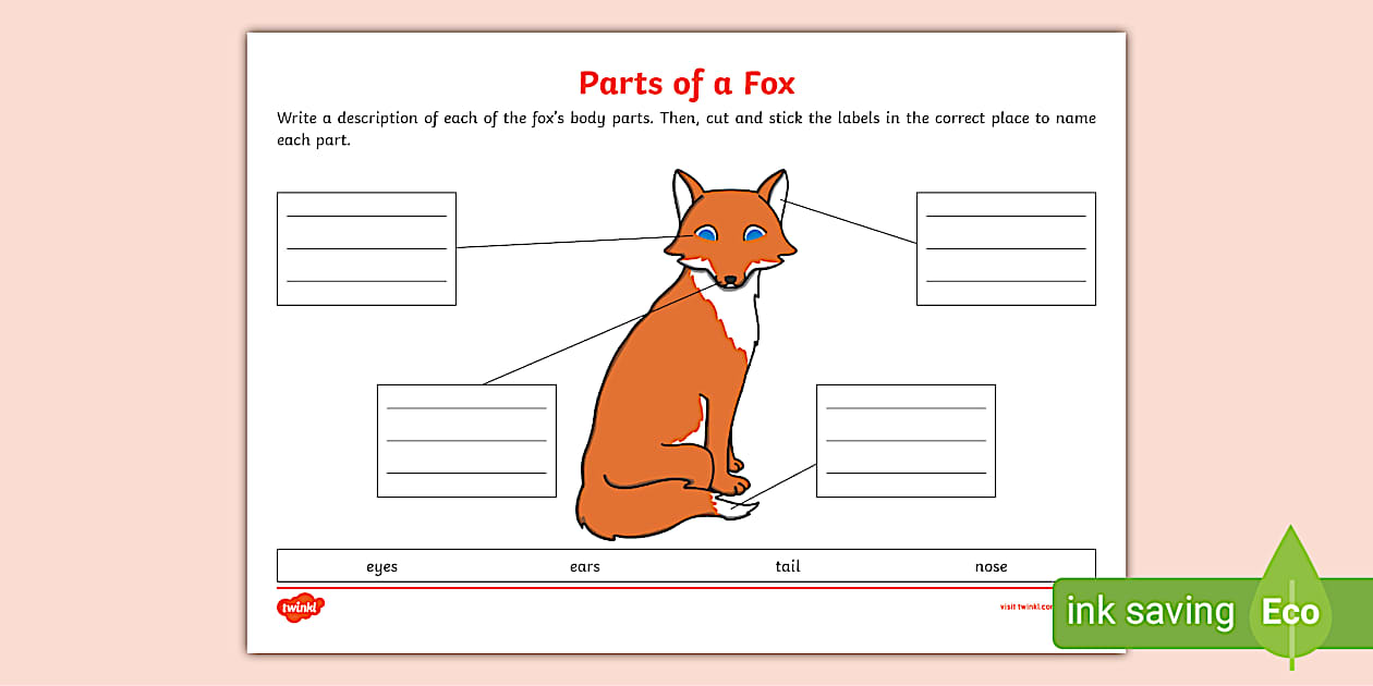 Parts of a Fox Activity Sheet (teacher made) - Twinkl
