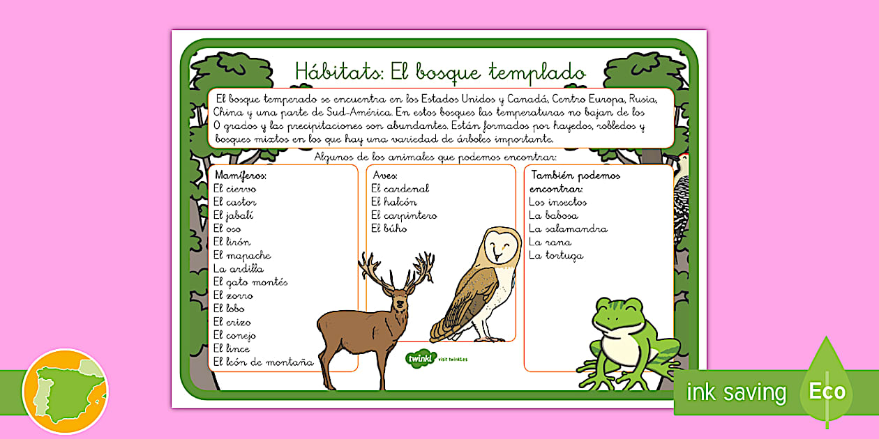 Hoja informativa: Hábitats - El bosque templado - Twinkl