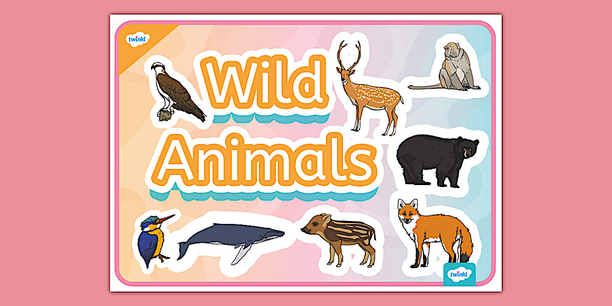 Wild Animals Display Poster (teacher made) - Twinkl