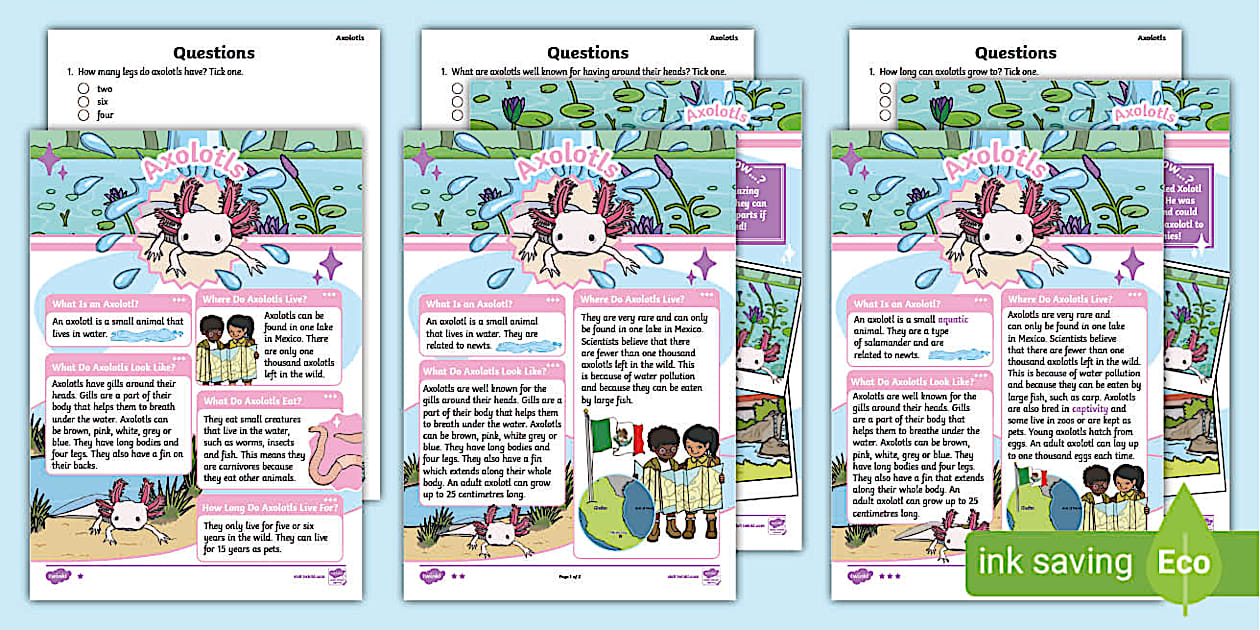 KS1 Axolotls Differentiated Reading Comprehension Activity