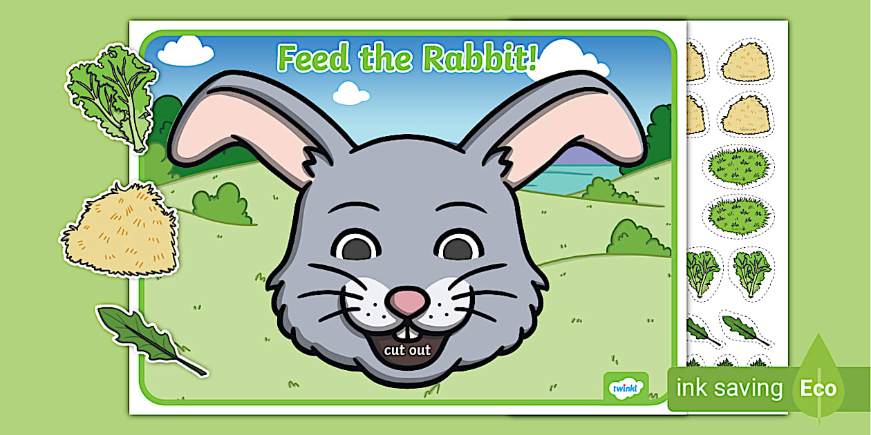 Feed the Rabbit Counting Game (teacher made) - Twinkl
