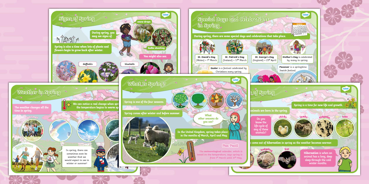 EYFS All About Spring Fact Files | Twinkl - Twinkl