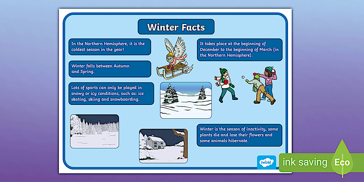 Winter Facts Display Poster (teacher made) - Twinkl