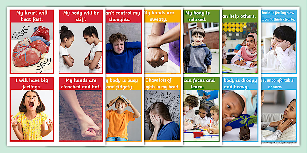 Areas of Regulation: My Body Flashcards Older Learners