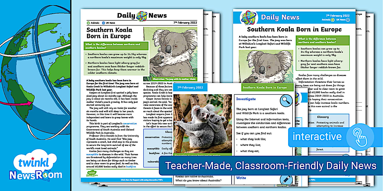 Southern Koala Born in Europe - KS2 Reading Comprehension