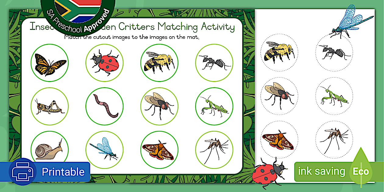 Insects and Garden Critters Matching Activity (teacher made)