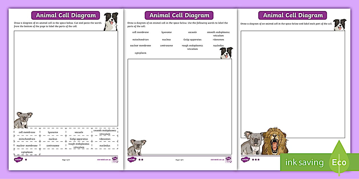 Draw the Animal Cell and Label the Parts | Science Activity
