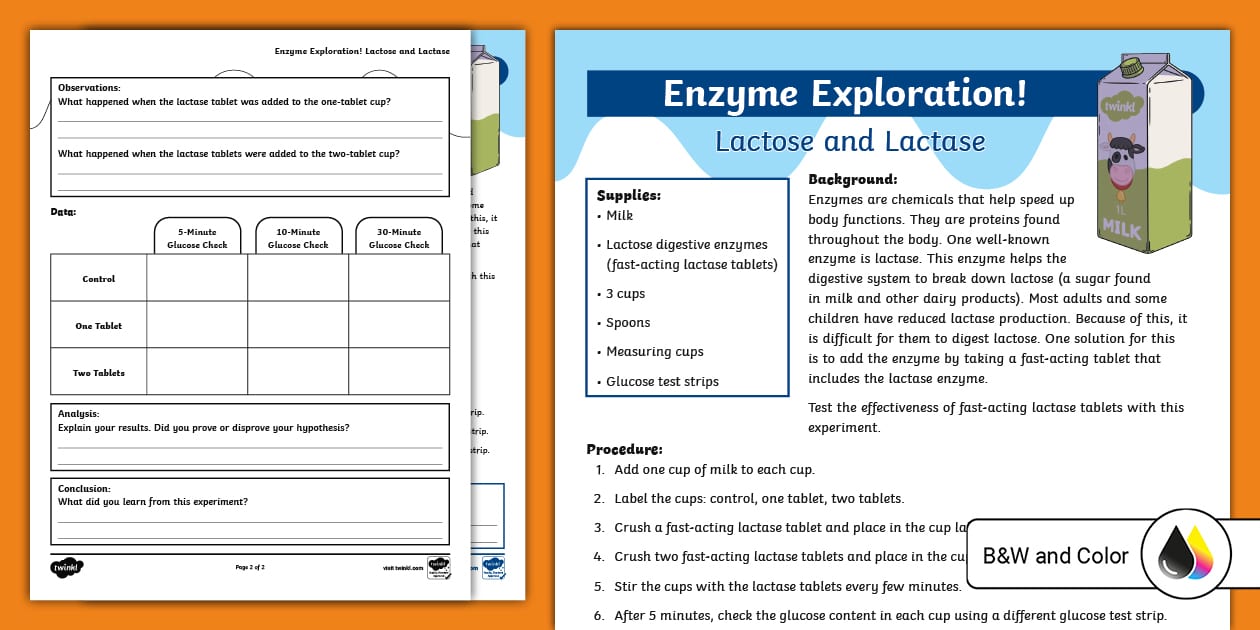 Enzyme Exploration! Lactose and Lactase Science Experiment