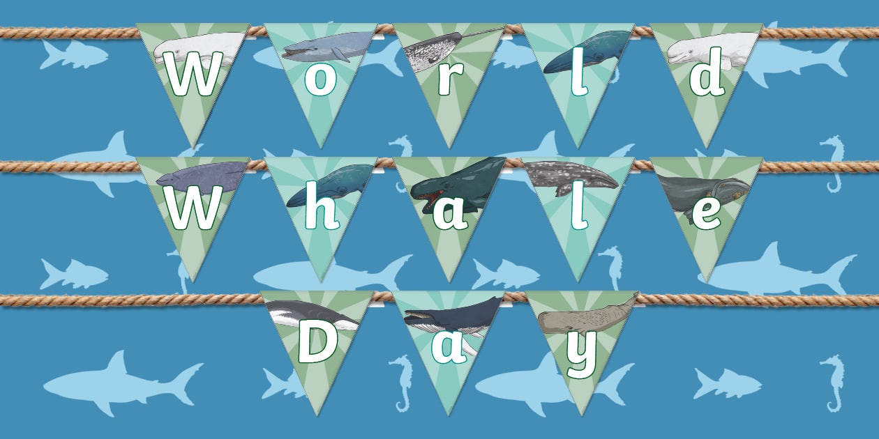 World Whale Day Display Bunting - Twinkl