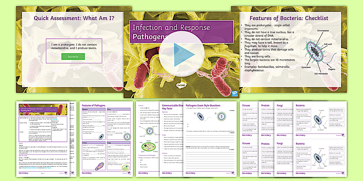 AQA Infection and Response Lesson 1: Pathogens | Beyond