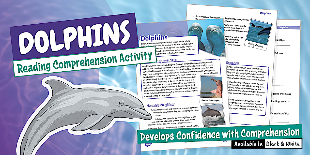 UKS2 Dolphins Reading Comprehension Activity - Twinkl