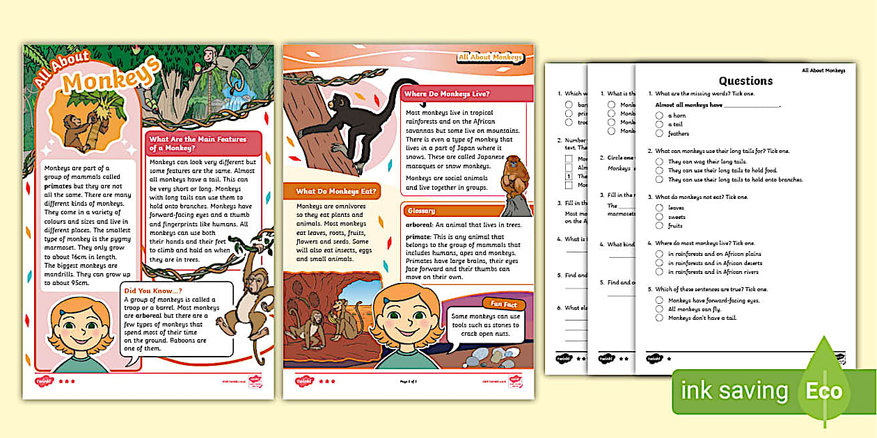 KS1 All About Monkeys Differentiated Reading Comprehension