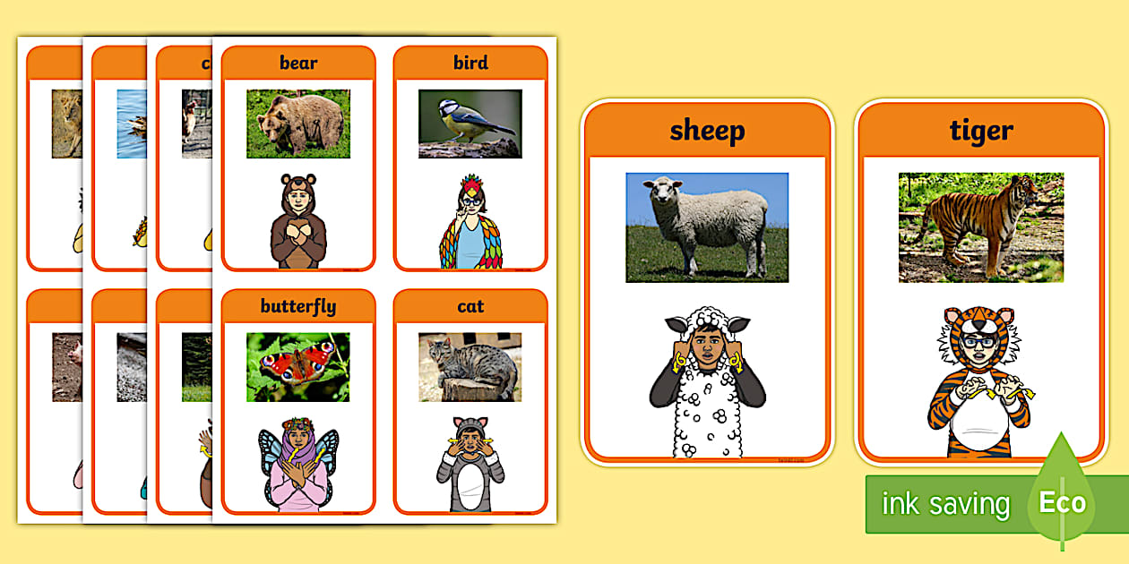 Editable British Sign Language (BSL) Animals Photo Flashcards