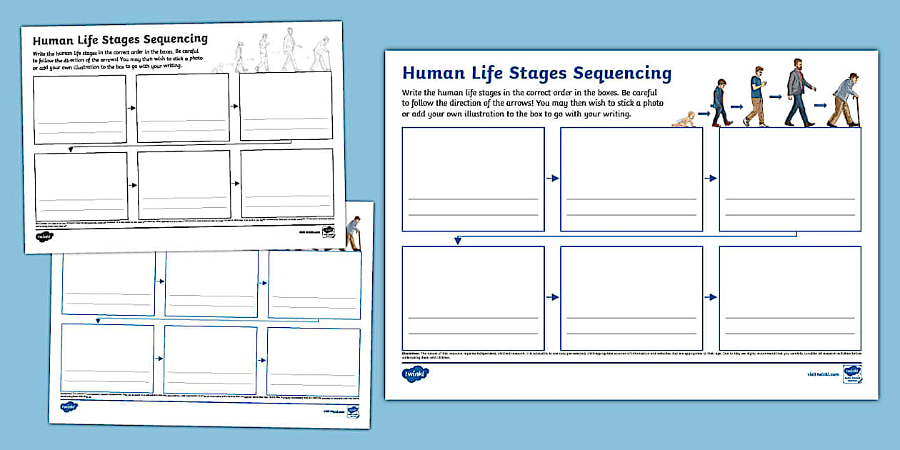Human Life Stages Sequencing Mind Map (teacher made)