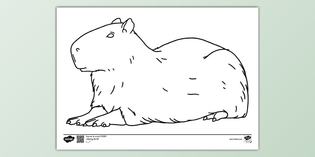 Capybara Colouring Sheet | Twinkl Animals - Twinkl