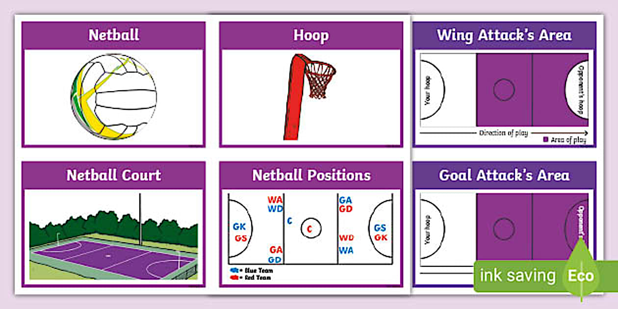 Netball Positions Template | PE Flashcards | NZ Primary