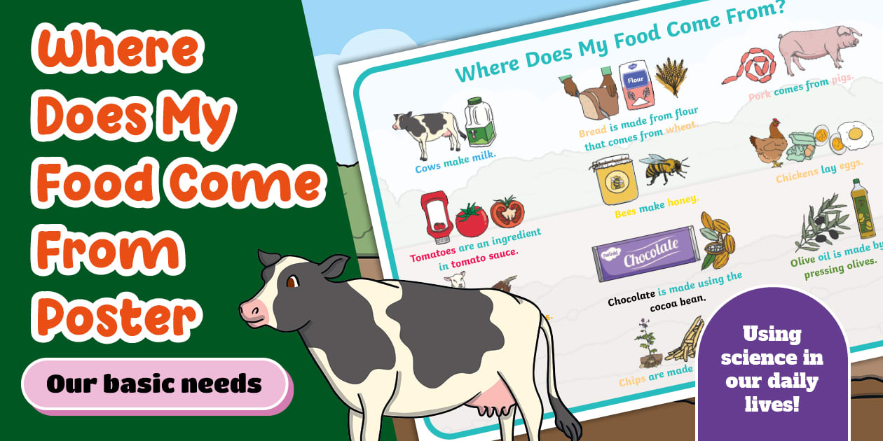 Food Sources Classroom Poster