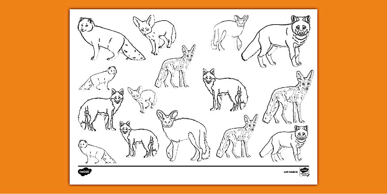 Fox Doodle Colouring Page (teacher made) - Twinkl