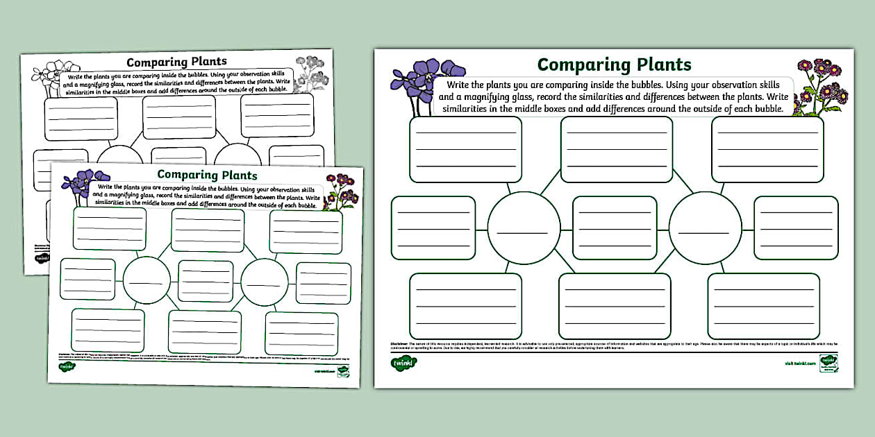 Comparing Plants Mind Map (teacher made) - Twinkl