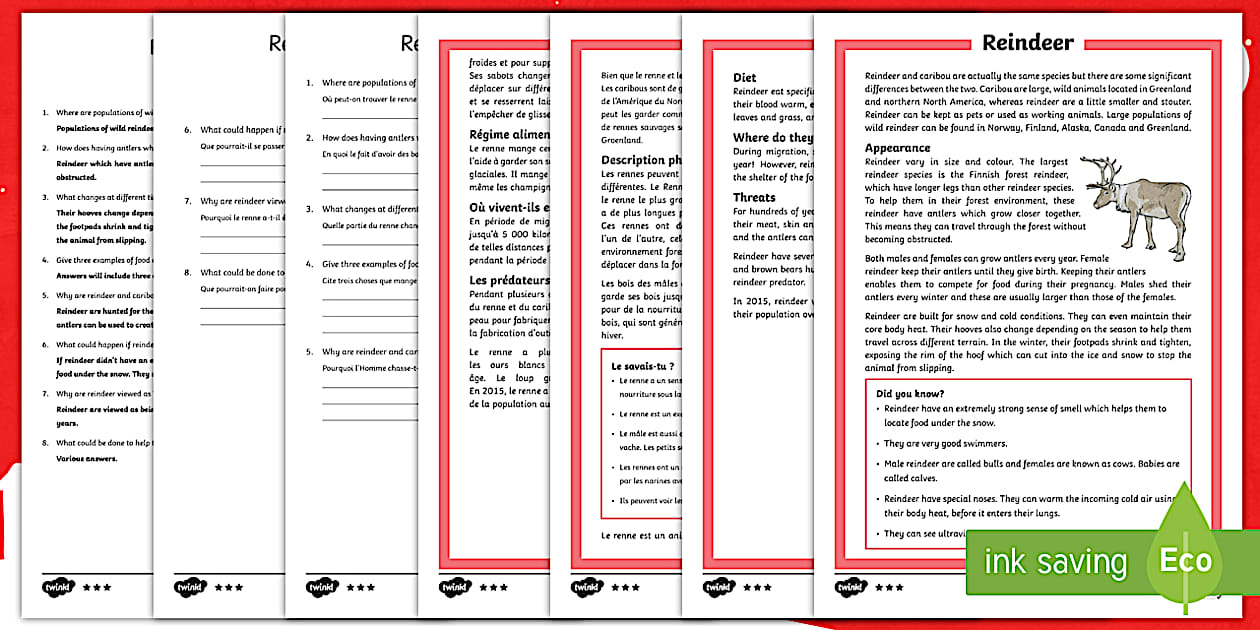 Reindeer Differentiated Reading Comprehension Activity English/French