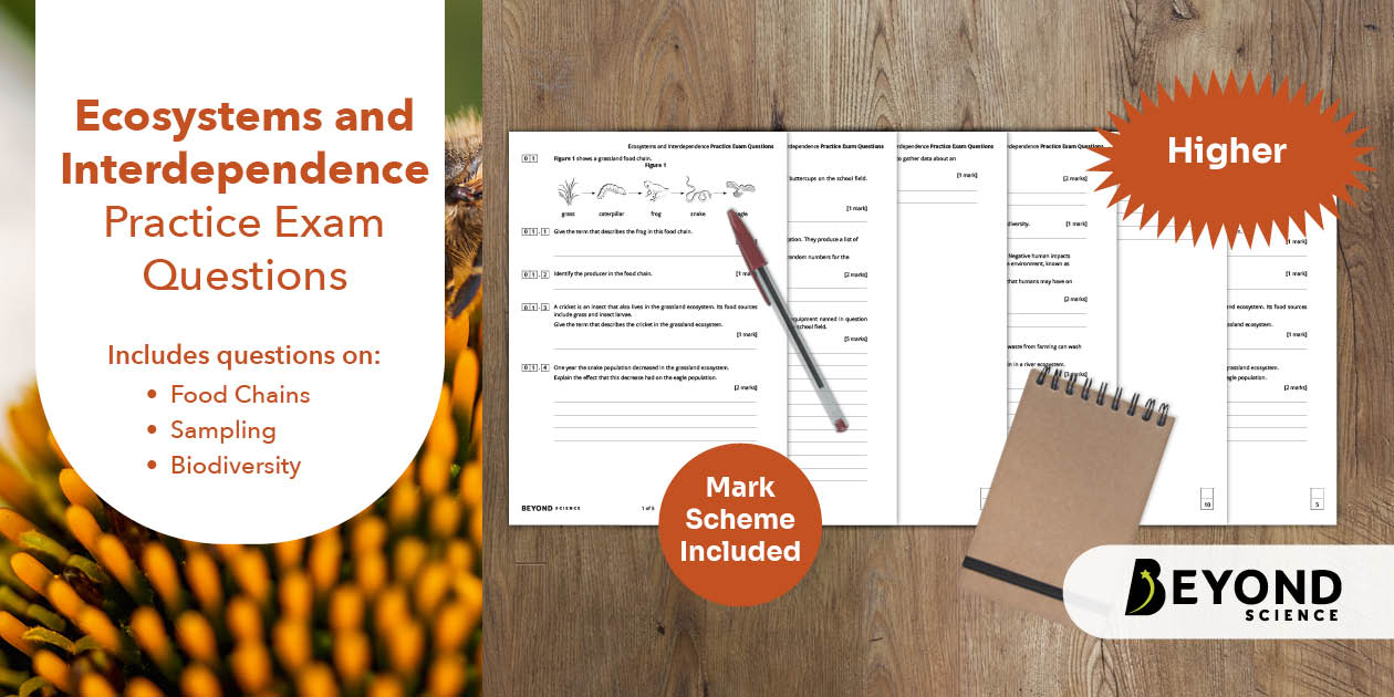 KS3 Ecosystems & Interdependence Higher Practice Exam