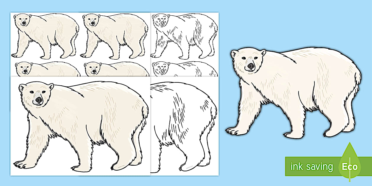A4 Polar Bear Template | Editable Primary Resources - Twinkl