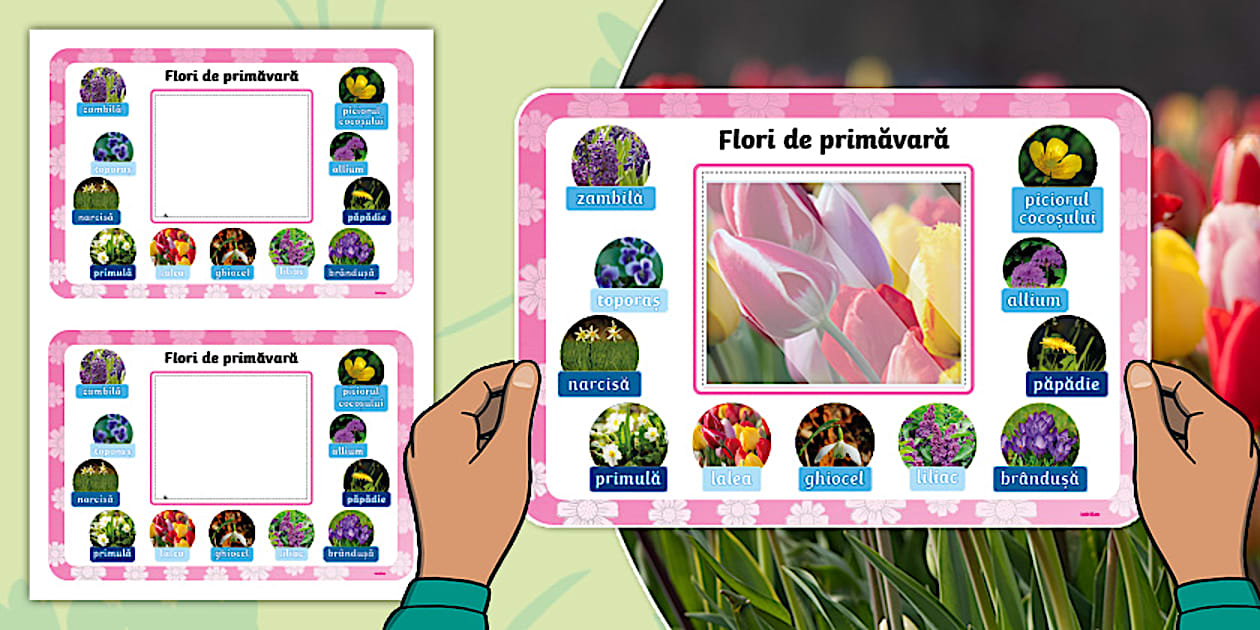 Cu ochișorii iscodesc flori de primăvară – Ramă