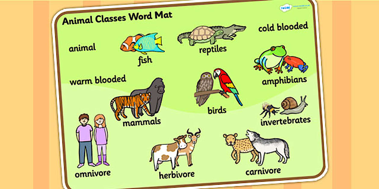 Animal Classes Word Mat - ESL Animal Vocabulary - Twinkl
