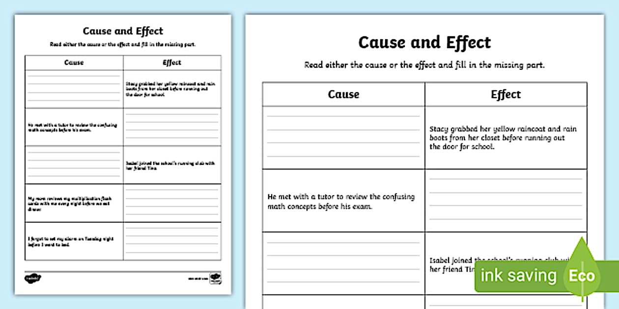 Cause and Effect: What Happens First/Next Activity Worksheet