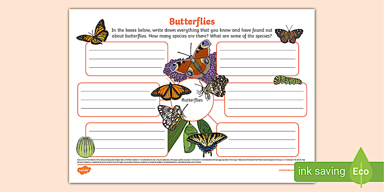 Butterflies Mind Map (teacher made) - Twinkl