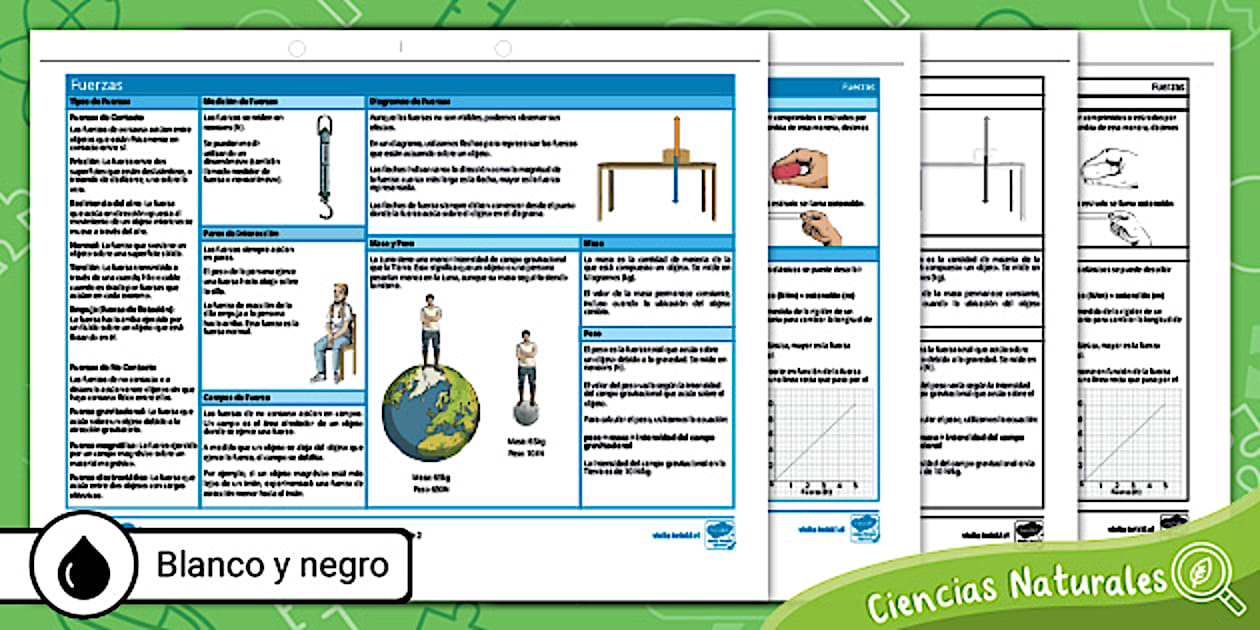 Organizador | Fuerzas | Gravedad | Roce | Normal | 7° Básico