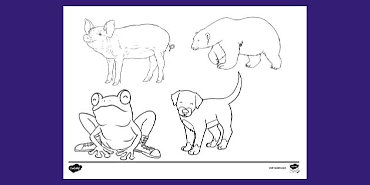 Easy Animal Colouring Page | Colouring Sheets (teacher made)
