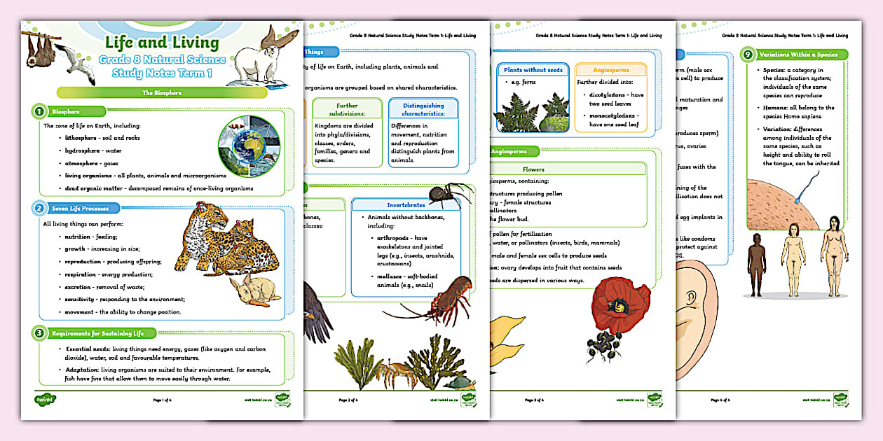 Grade 7 Natural Sciences Life and Living Study Notes Term 1