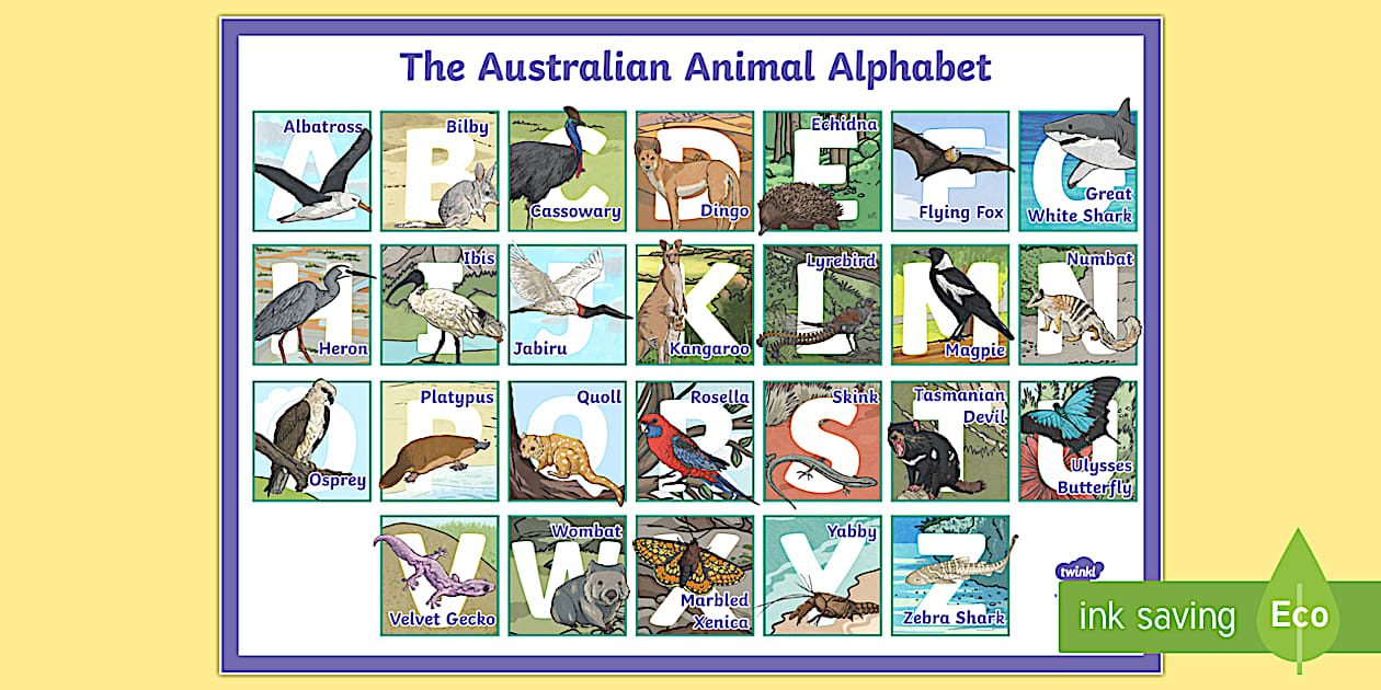 Australian Animal Alphabet Poster | Teacher Made | Twinkl